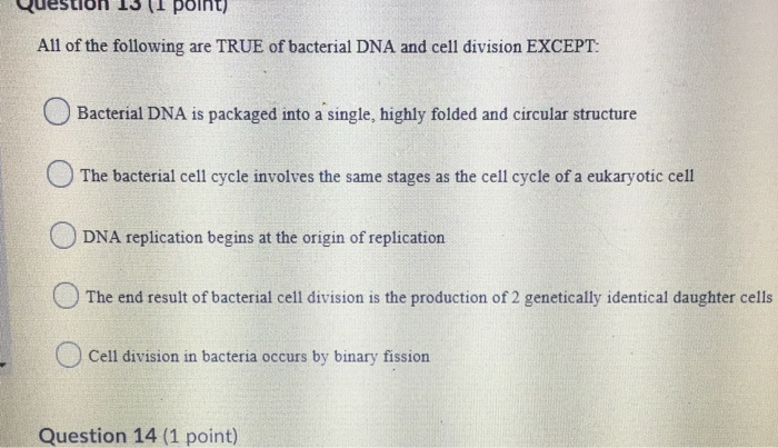 Solved point) All of the following are TRUE of bacterial DNA | Chegg.com