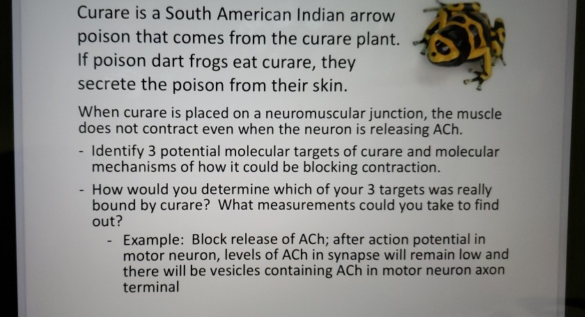 Solved Curare is a South American Indian arrow poison that | Chegg.com