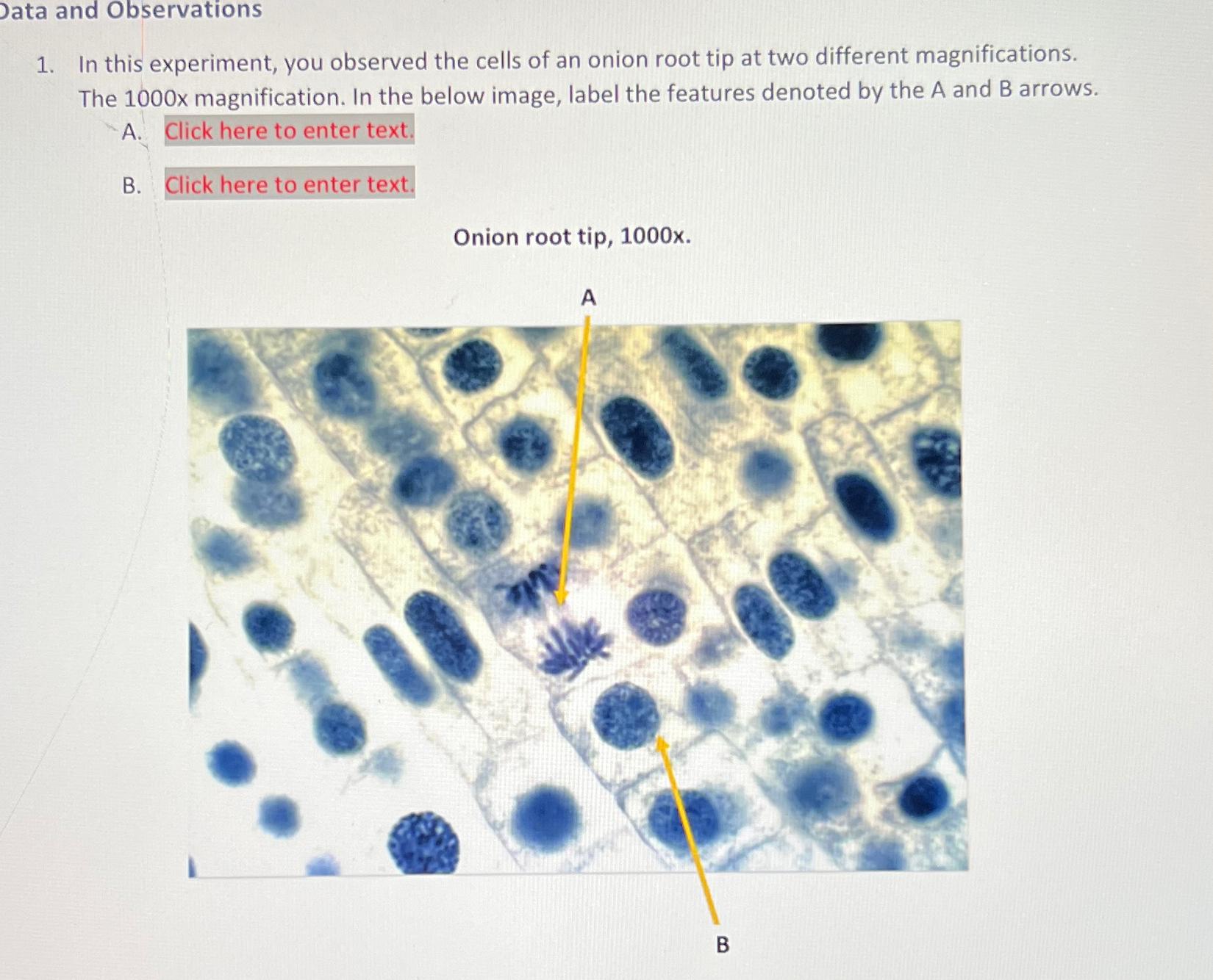 Solved Data and ObservationsIn this experiment, you observed | Chegg.com