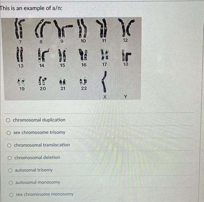 Solved Rapid cell division by mitosis to increase cell | Chegg.com