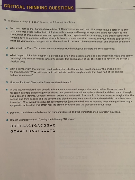 Solved question number 4 why is it important that mitosis | Chegg.com