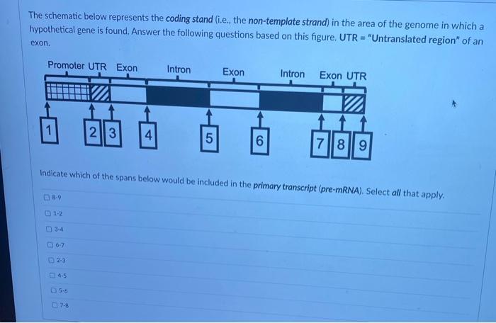 Solved The schematic below represents the coding stand | Chegg.com