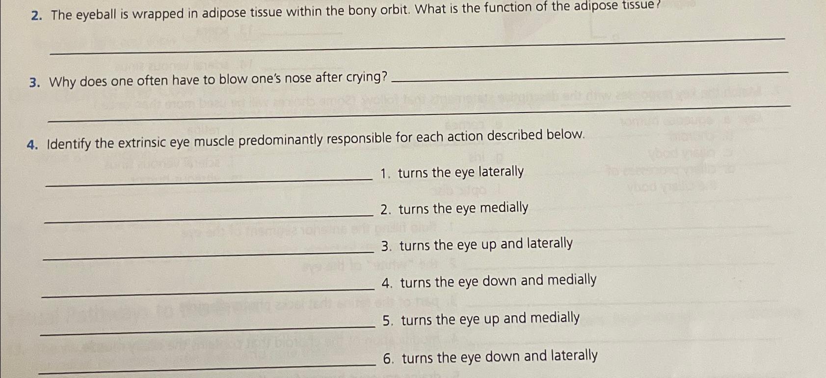 Solved The eyeball is wrapped in adipose tissue within the | Chegg.com