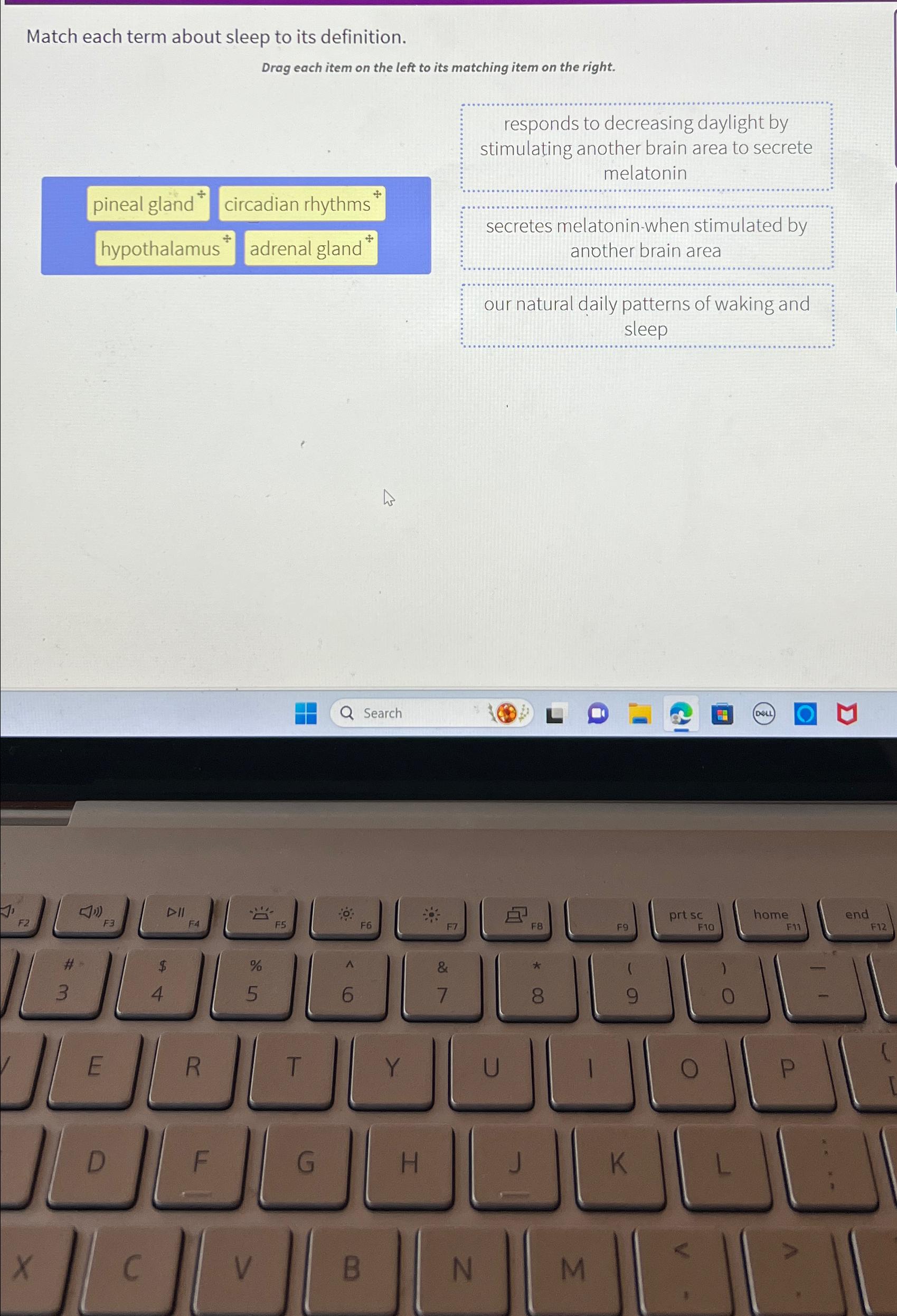 Solved Match each term about sleep to its definition.Drag | Chegg.com