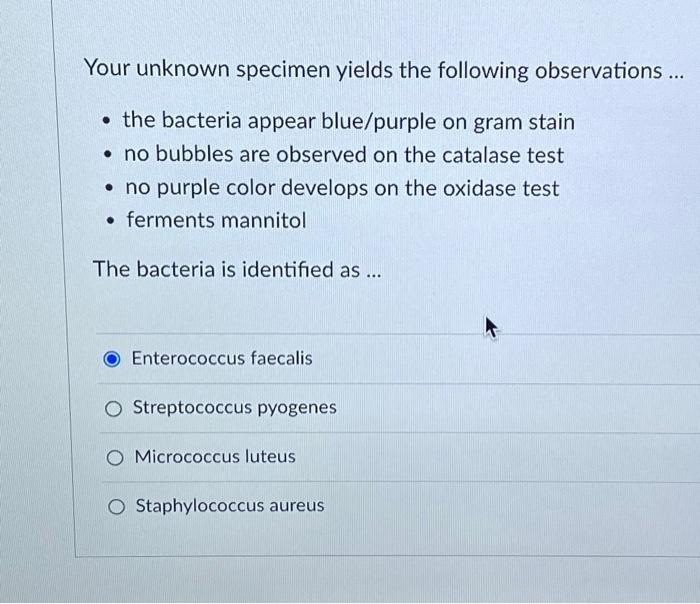 Solved Your unknown specimen yields the following | Chegg.com