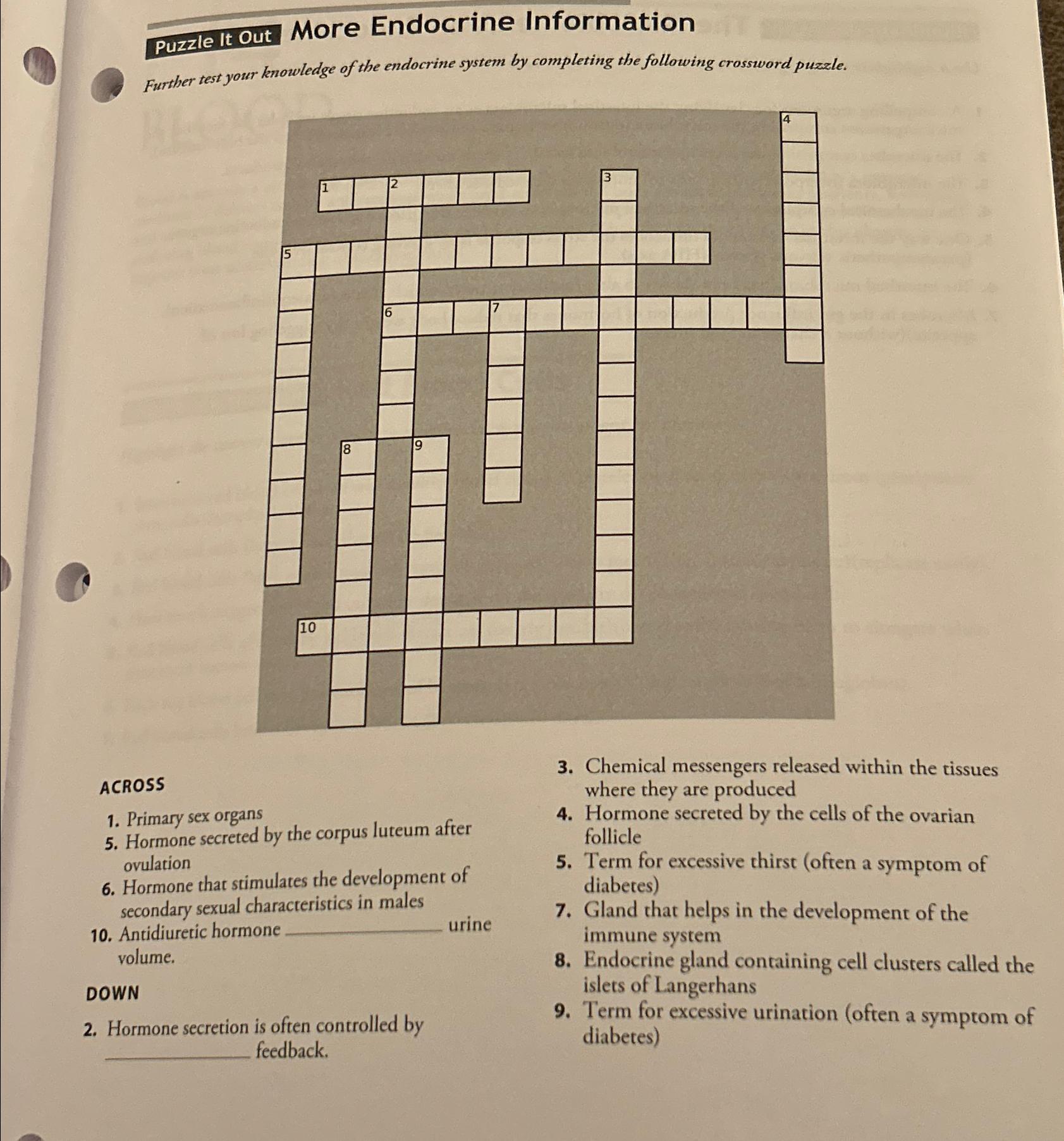 Solved Puzzle It Out More Endocrine InformationFurther test | Chegg.com