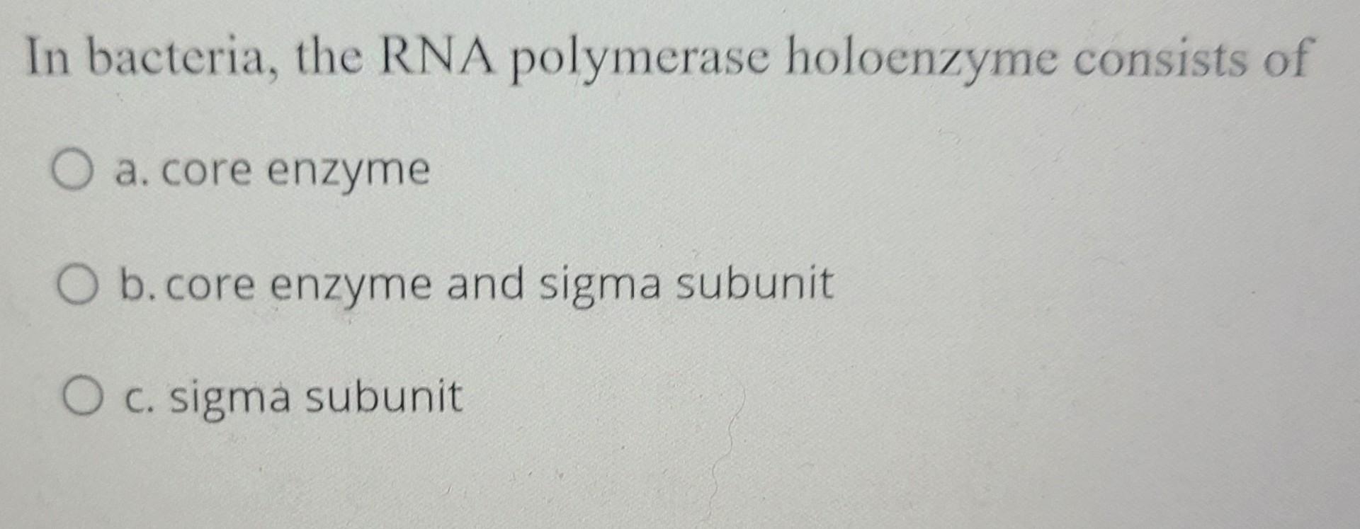 Solved In bacteria, the RNA polymerase holoenzyme consists | Chegg.com
