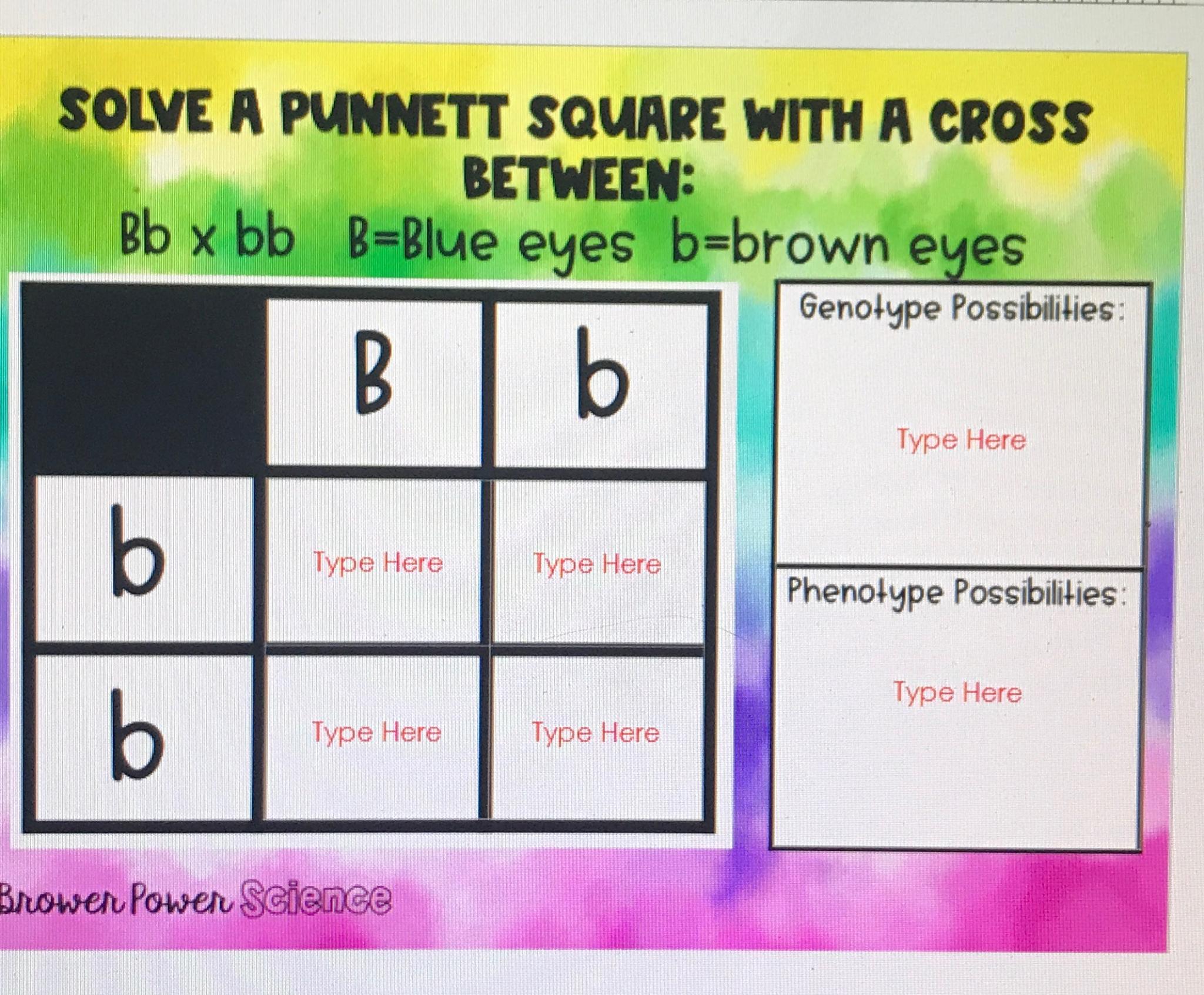Solved SOLVE A PUNNETT SQUARE WITH A CROSS | Chegg.com
