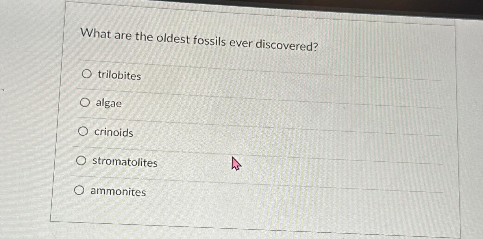 Solved What are the oldest fossils ever | Chegg.com