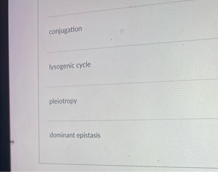 Solved prophage [Chioged] A pheromenon ia which a single | Chegg.com