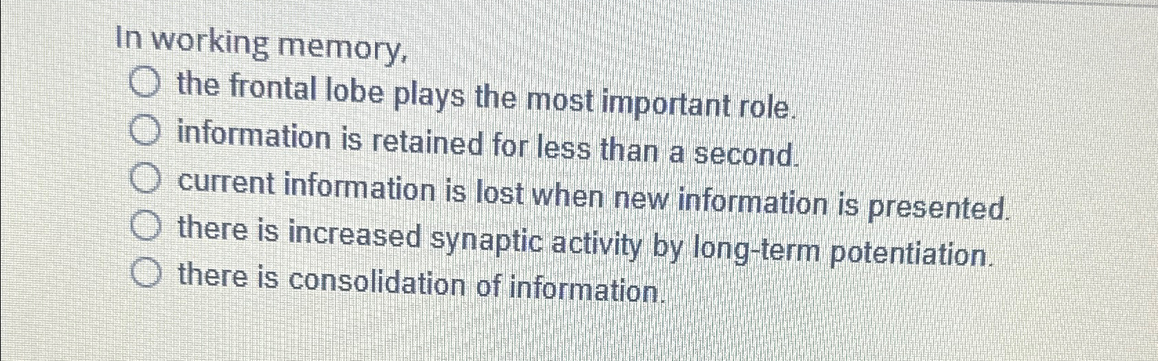 Solved In working memory,the frontal lobe plays the most | Chegg.com