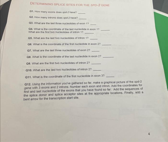 Solved DETERMINING SPLICE SITES FOR THE SPD-2 GENE Q1. How | Chegg.com
