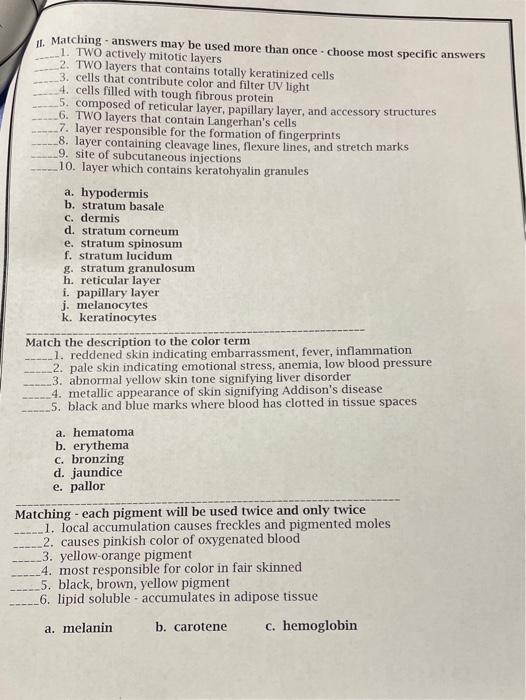 Solved Basic skin structure 2021 Lecture Class Dr. E. | Chegg.com