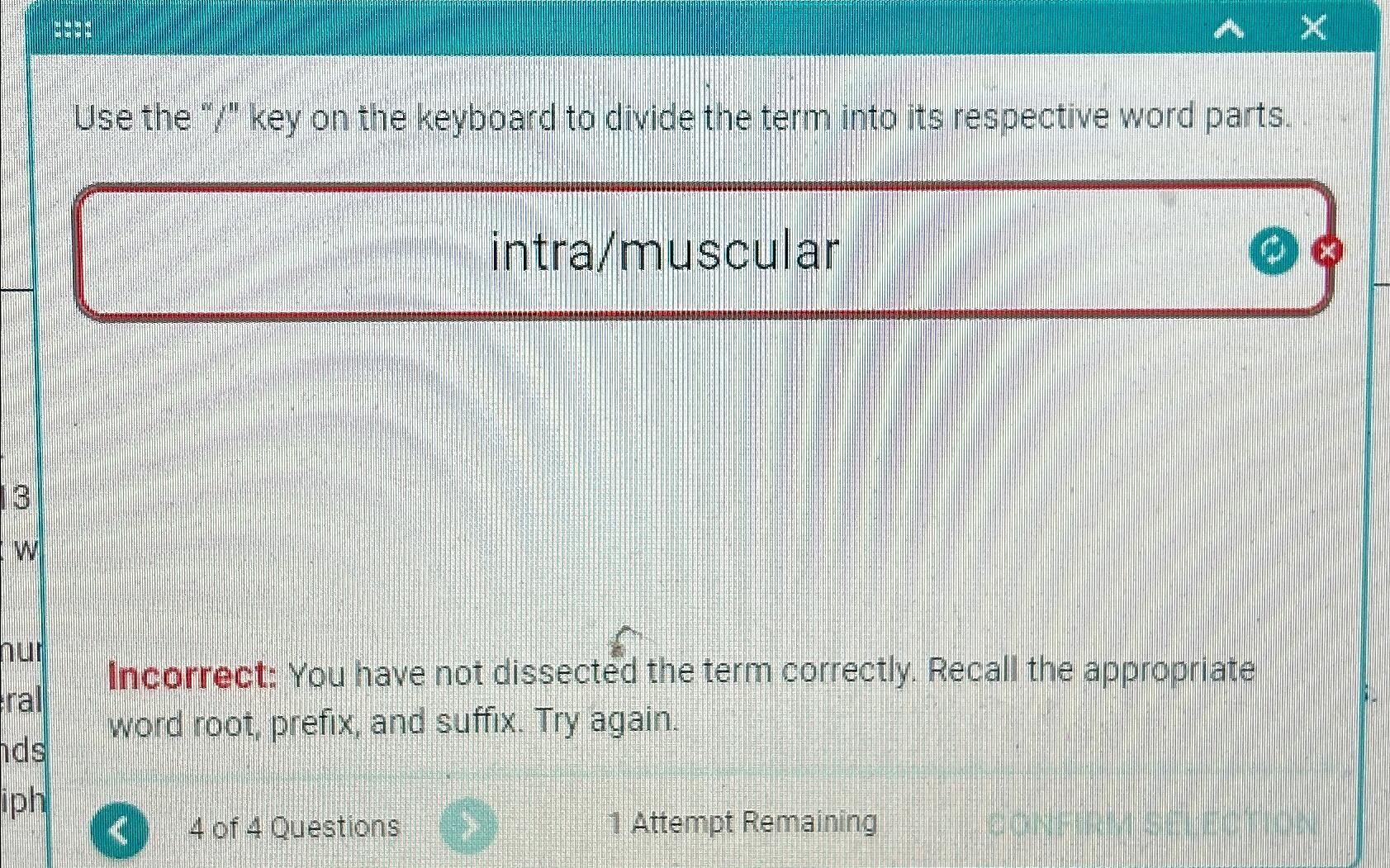 Use the "/" ﻿key on the keyboard to divide the term | Chegg.com