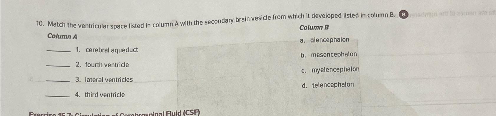 Solved Match the ventricular space listed in column A with | Chegg.com