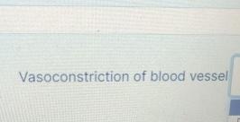 Solved Vasoconstriction of blood vessel | Chegg.com