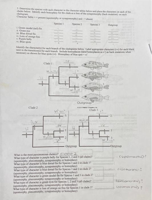 Solved 5. Determine the species with each character in the | Chegg.com
