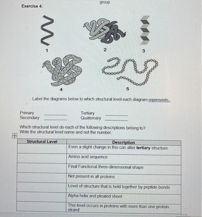 Solved group Exercise 4: 099 2n oor Boodboog Choo0000000 | Chegg.com