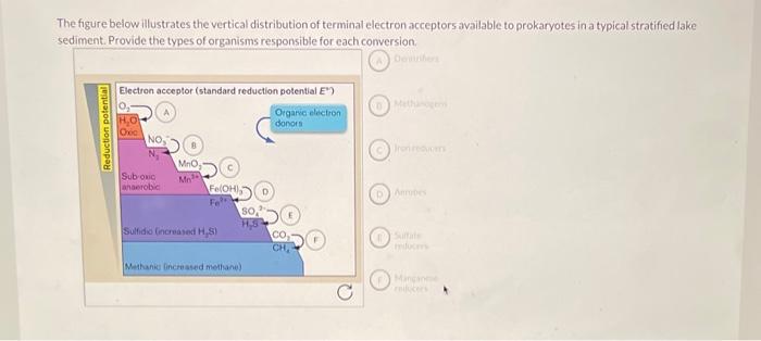 Solved The figure below illustrates the vertical | Chegg.com