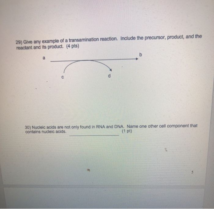Solved 29) Give any example of a transamination reaction. | Chegg.com