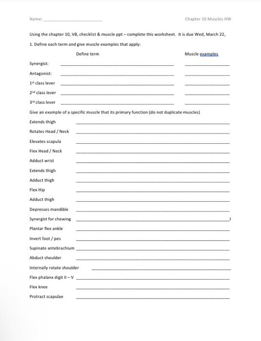 Solved Name: Chapter 10 Muscles HW Using the chapter 10, VB, | Chegg.com Solved Name: Chapter 10 Muscles HW Using the chapter 10, VB, | Chegg.com