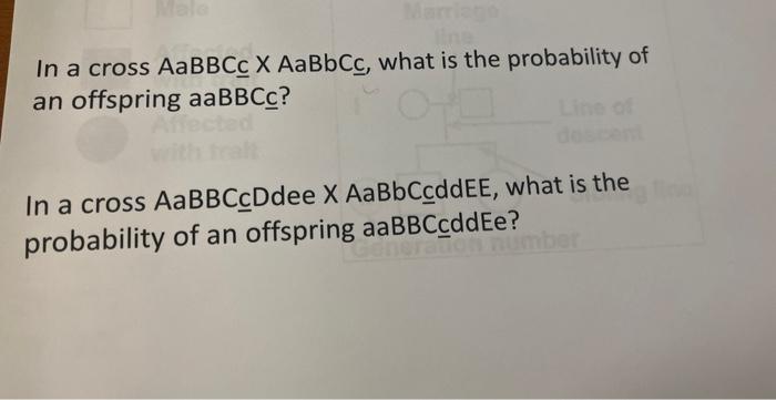 Solved In a cross AaBBCc×AaBbCc, what is the probability of | Chegg.com