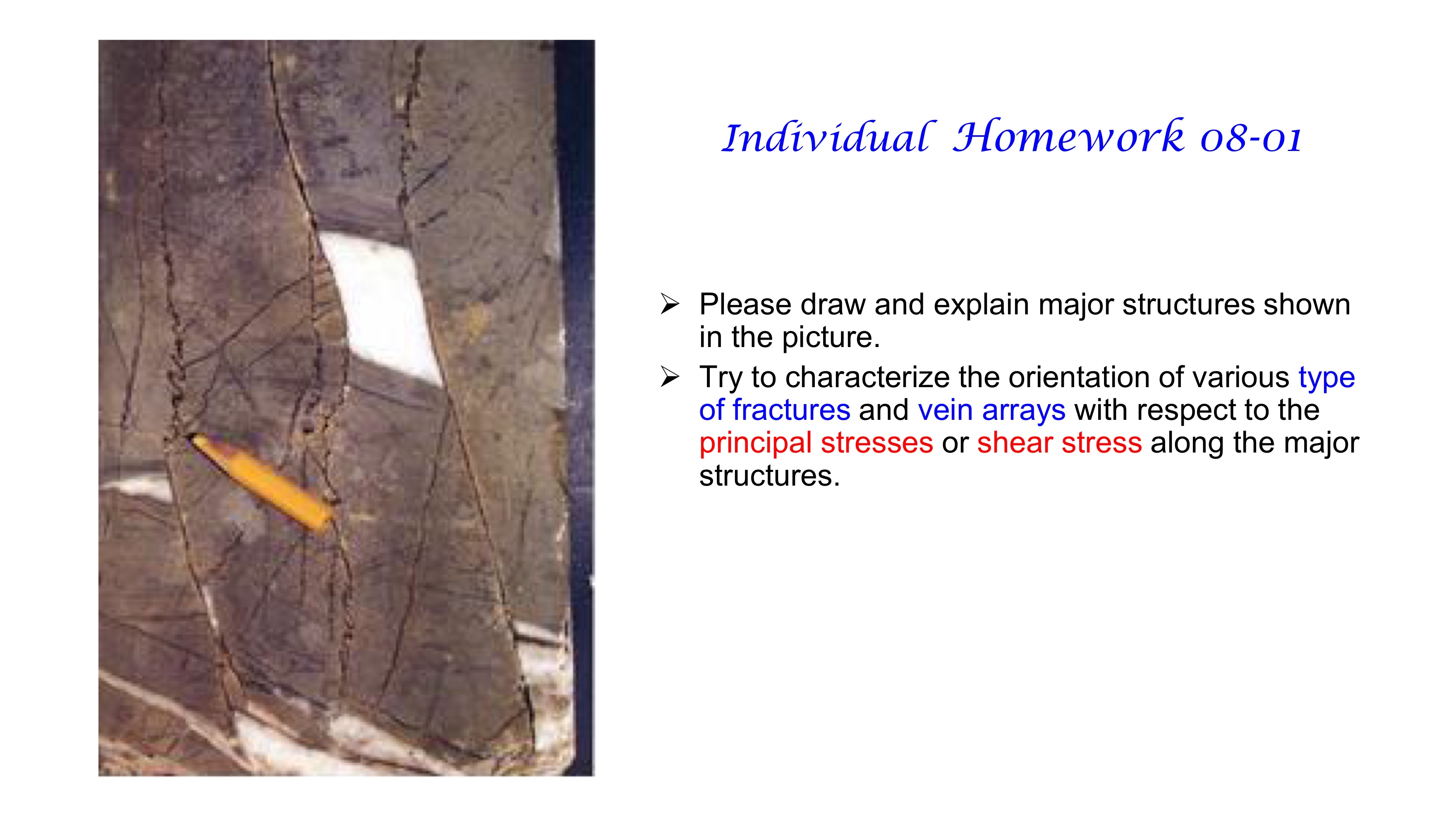 Solved (1) ﻿Please draw and explain major structures shownin | Chegg.com