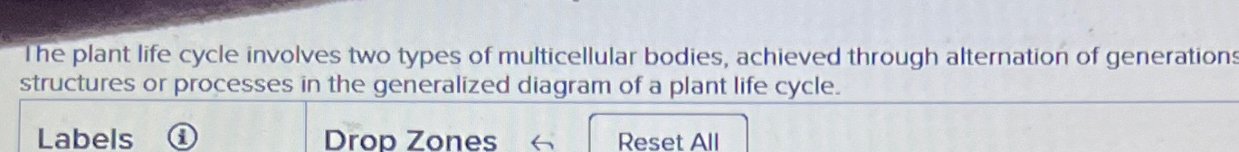 Solved The plant life cycle involves two types of | Chegg.com