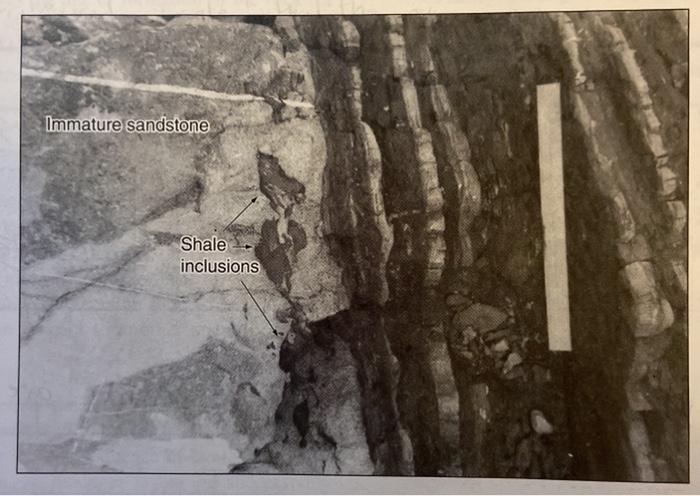 Solved Figure 7.4 Thick graded bed of immature sandstone, | Chegg.com