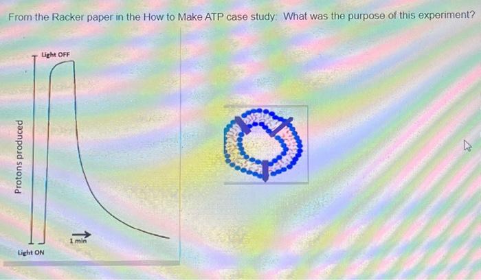 Solved From the Racker paper in the How to Make ATP case | Chegg.com