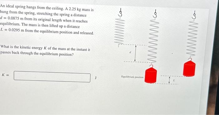 Solved An ideal spring hangs from the ceiling. A 2.25 kg | Chegg.com