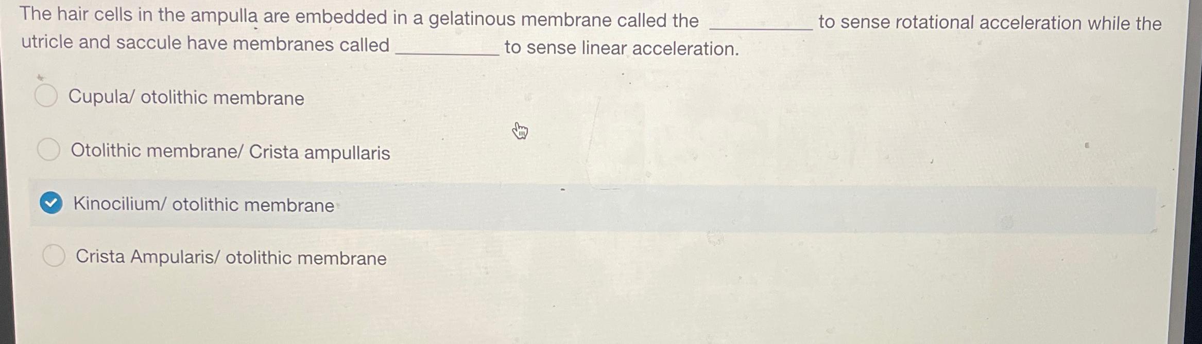 Solved The hair cells in the ampulla are embedded in a | Chegg.com
