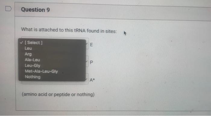 Solved Consider the translation of a polypeptide encoded by | Chegg.com