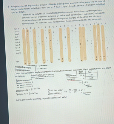 You generated an alignment of a region of 800 ﻿bp | Chegg.com