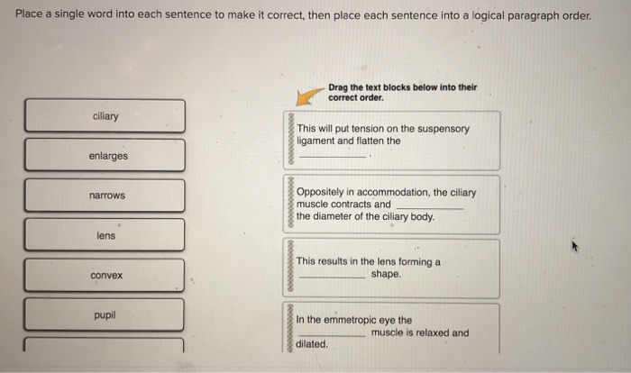 Solved Place a single word into each sentence to make it | Chegg.com