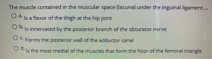 Solved The muscle contained in the muscular space (lacuna) | Chegg.com