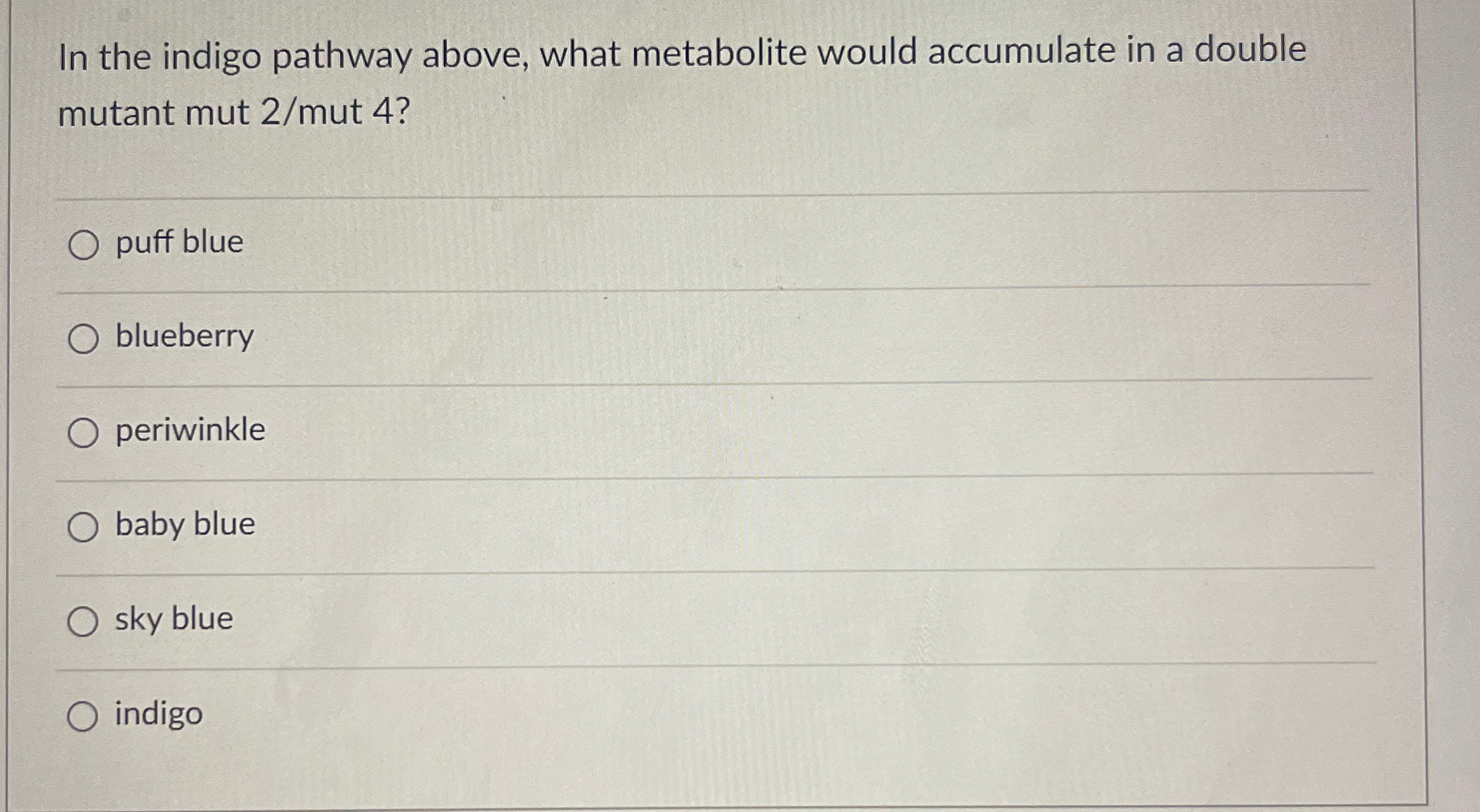 Solved In the indigo pathway above, what metabolite would | Chegg.com