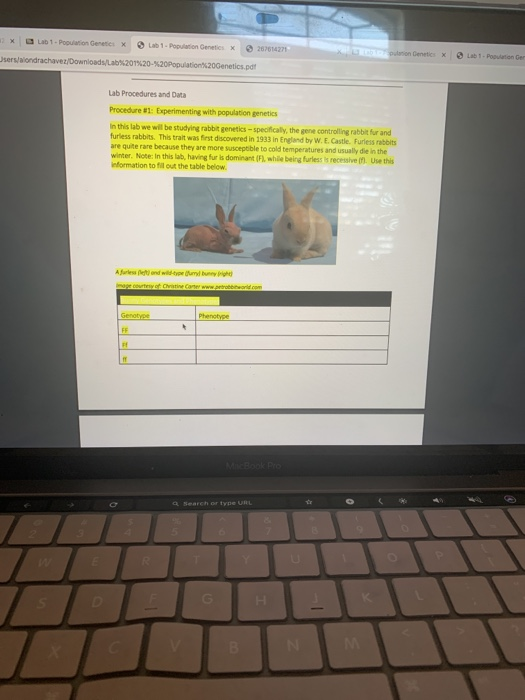 Solved Lab 1 - Poorn Genetics X 1. Population Genetics X | Chegg.com