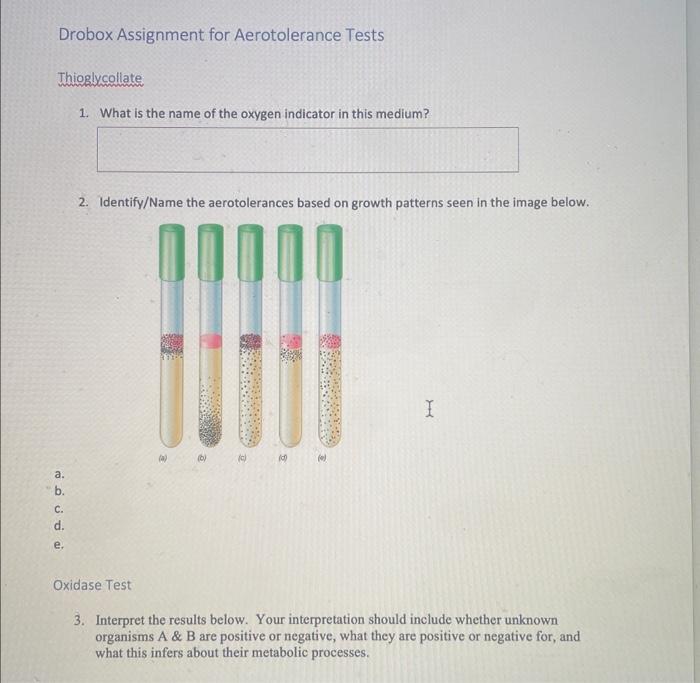 Solved Drobox Assignment for Aerotolerance Tests | Chegg.com