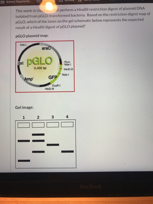 Solved School Suppleme... This week in classyo will perform | Chegg.com