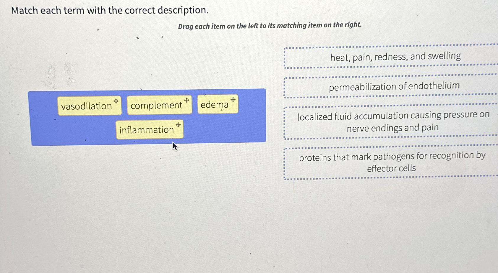 Solved Match each term with the correct description.Drag | Chegg.com