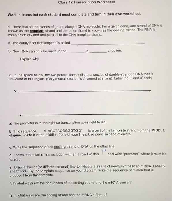 Solved Class 12 Transcription Worksheet Work in teams but | Chegg.com