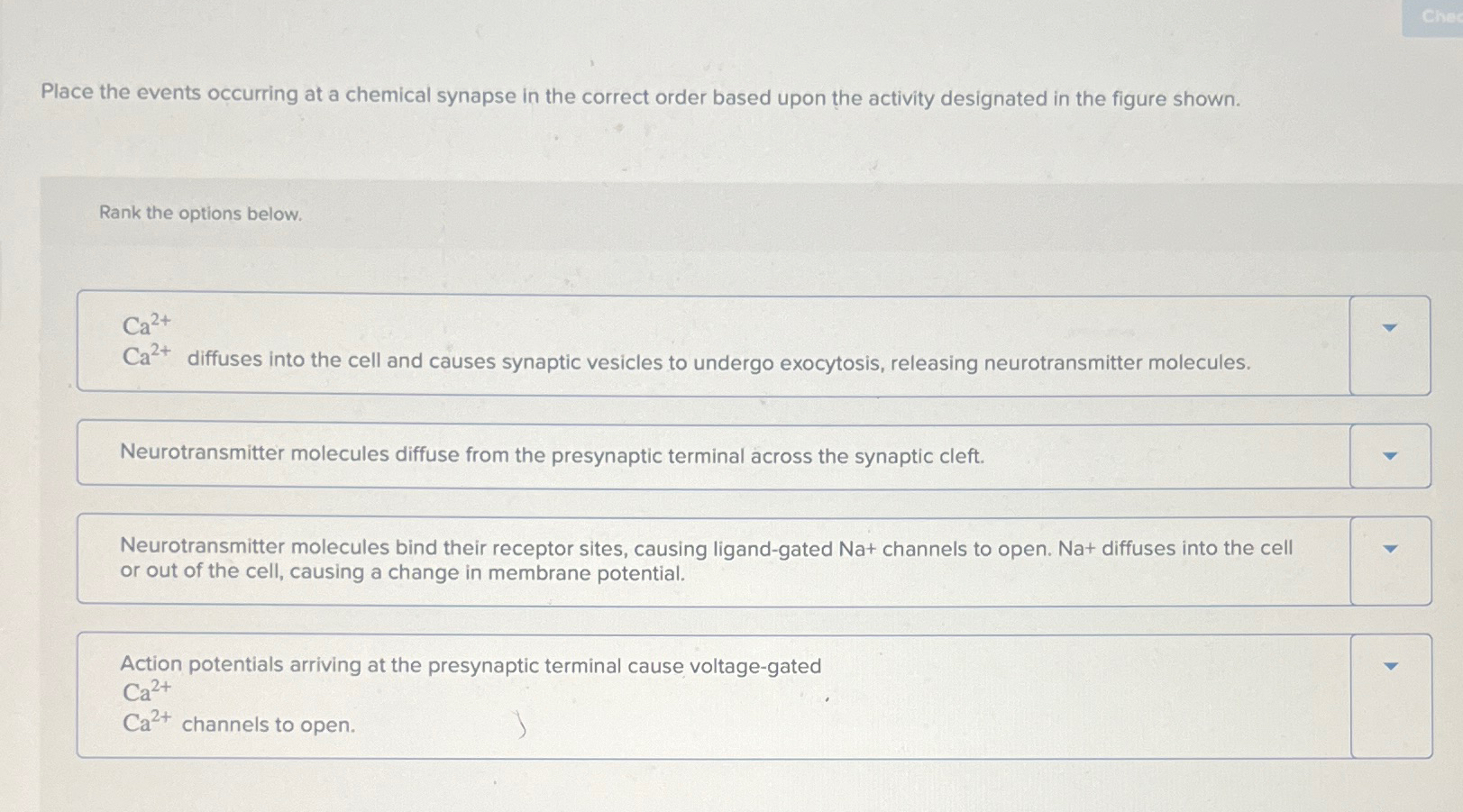 Solved Place the events occurring at a chemical synapse in | Chegg.com