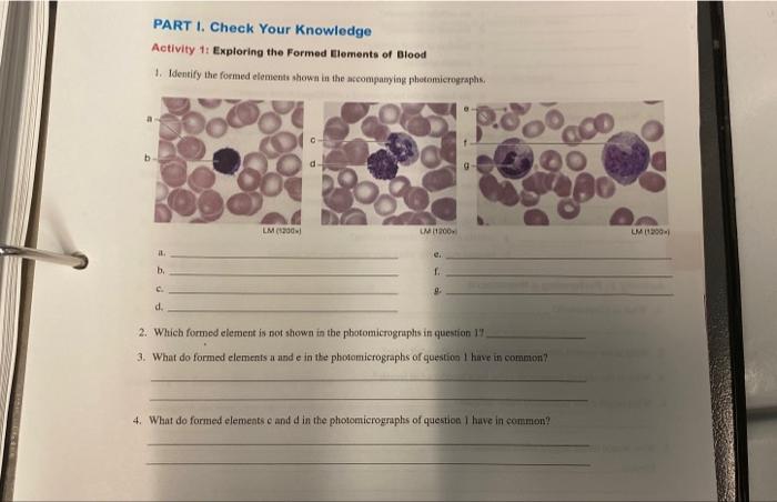 Solved PART I. Check Your knowledge Activity 1: Exploring | Chegg.com