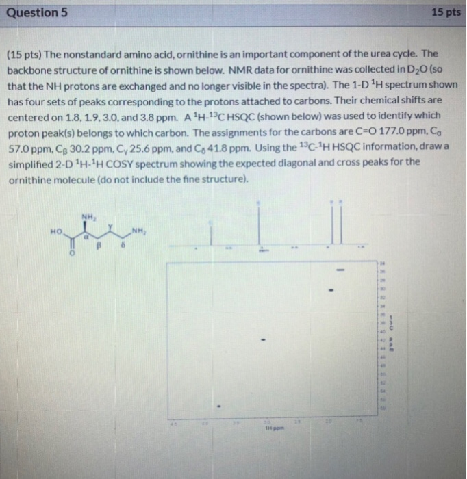 Solved Question 5 15 pts (15 pts) The nonstandard amino | Chegg.com Solved Question 5 15 pts (15 pts) The nonstandard amino | Chegg.com