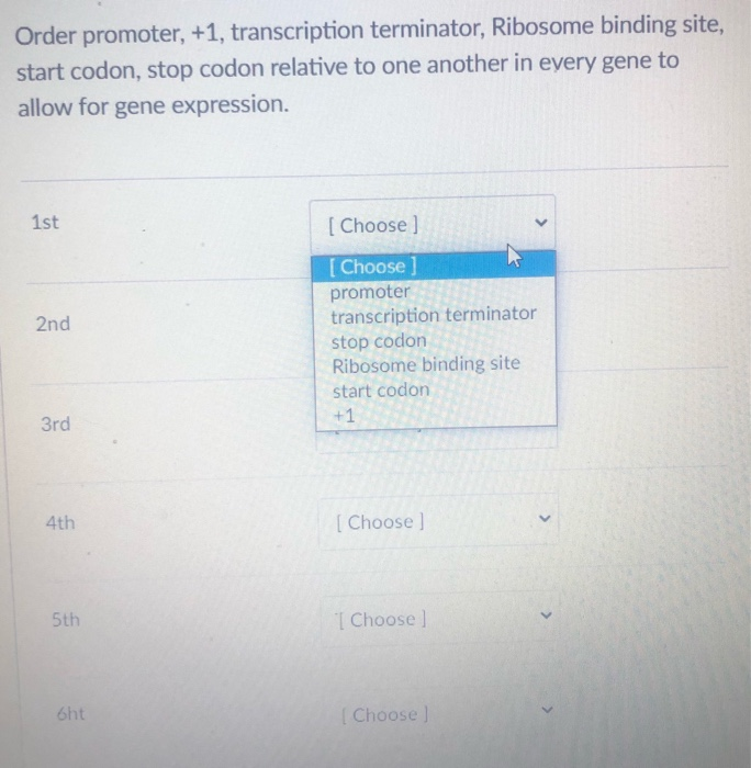 Solved Order promoter, +1, transcription terminator, | Chegg.com