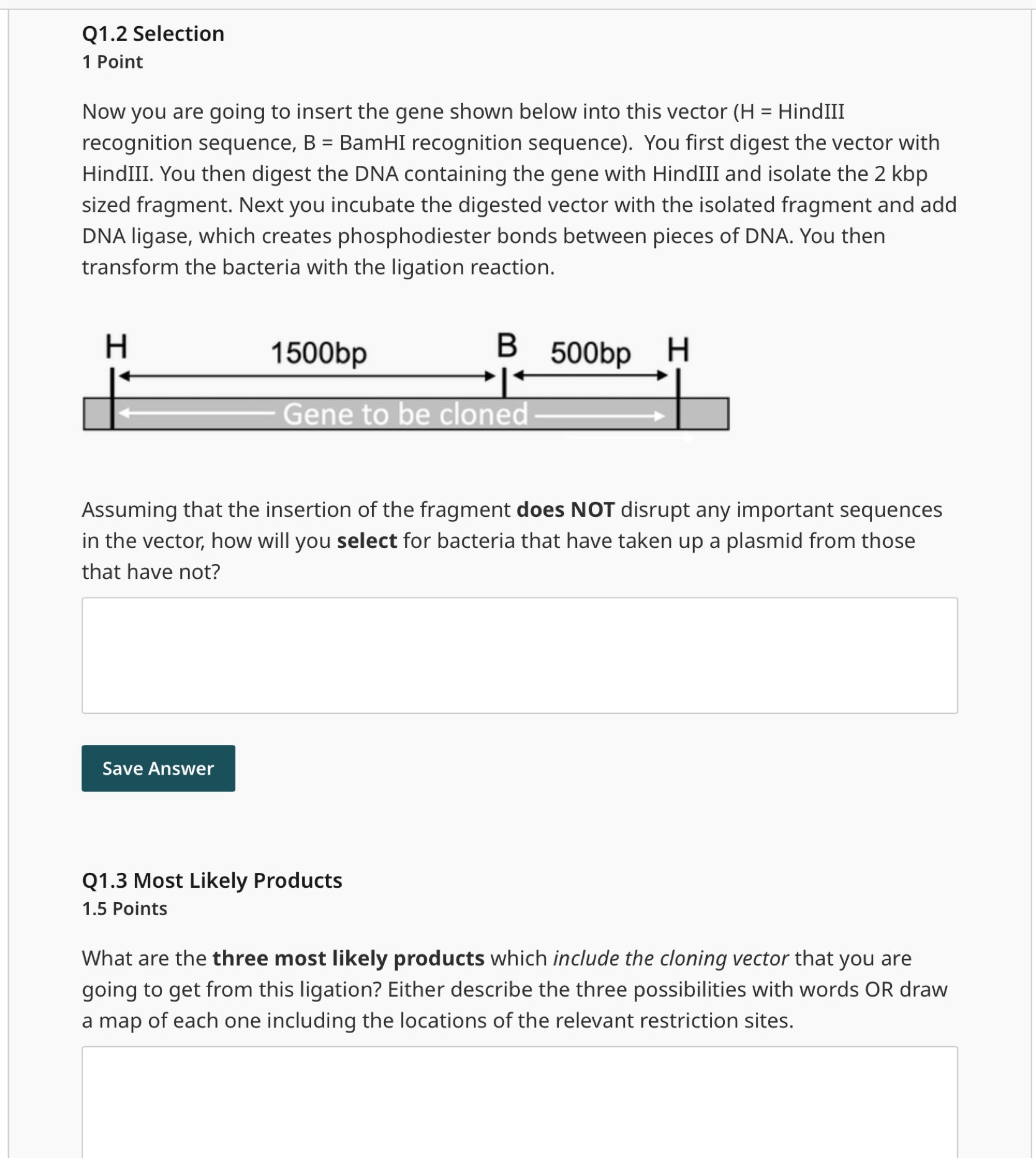 Solved Q1.2 ﻿Selection1 ﻿PointNow you are going to insert | Chegg.com
