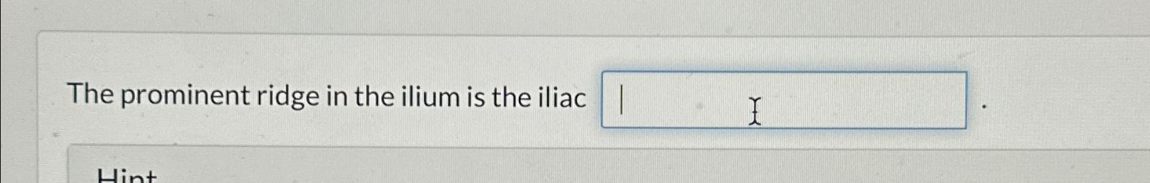 Solved The prominent ridge in the ilium is the iliac | Chegg.com