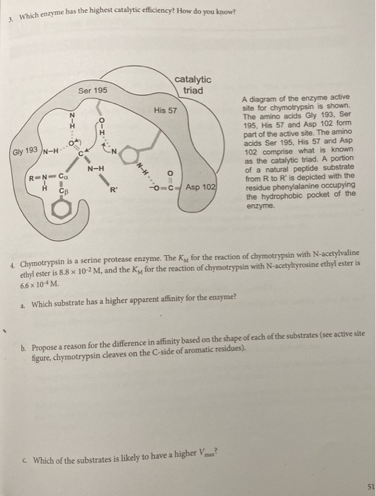 Solved Which enzyme has the highest catalytic efficiency? | Chegg.com