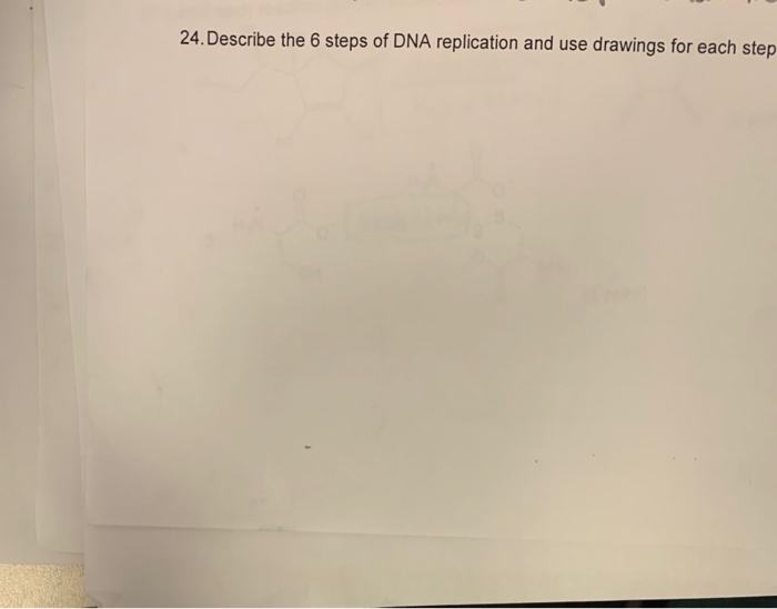 Solved 24. Describe the 6 steps of DNA replication and use | Chegg.com